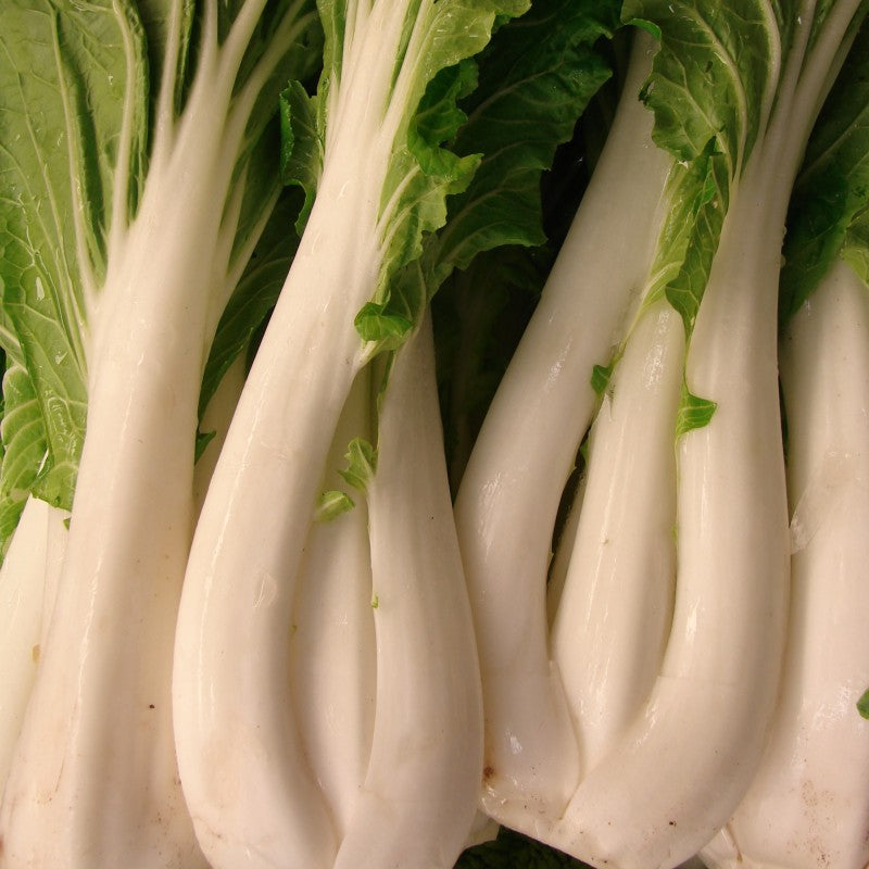 Pak choi kilo – Mercado el 100 AC